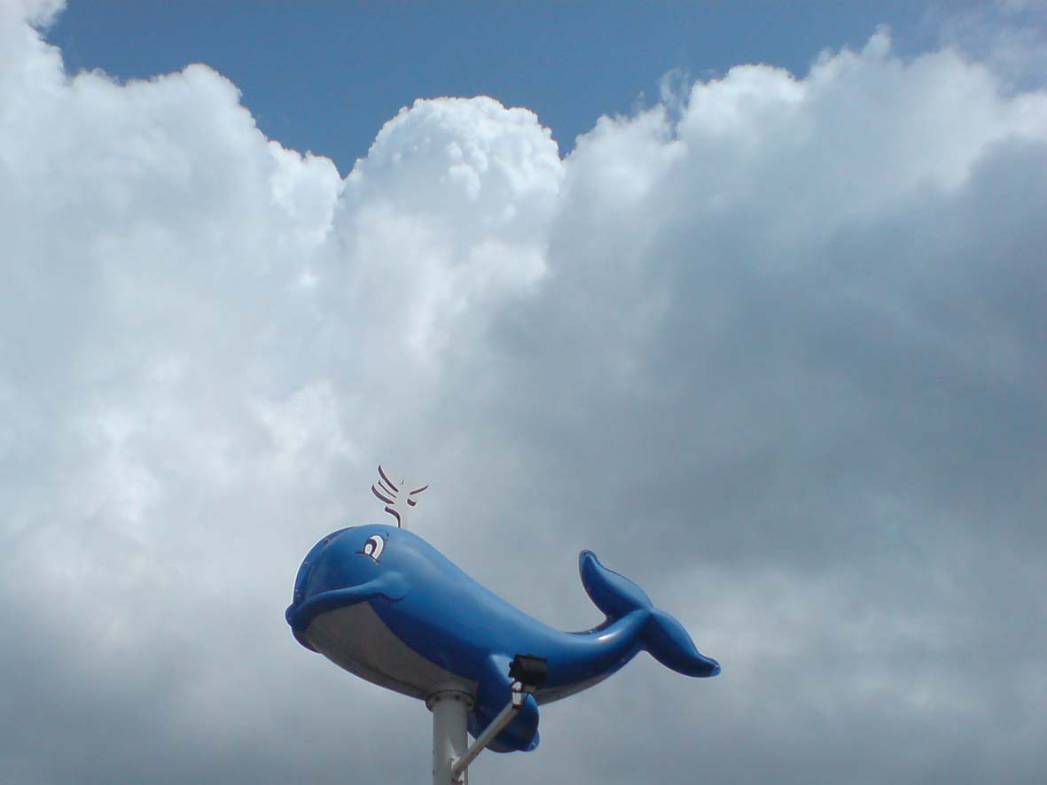 Photografien – Seite 4 – tiefkultur